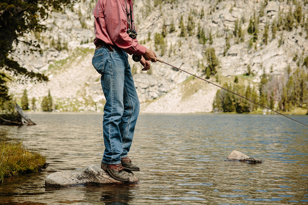 Giddy up Grayling